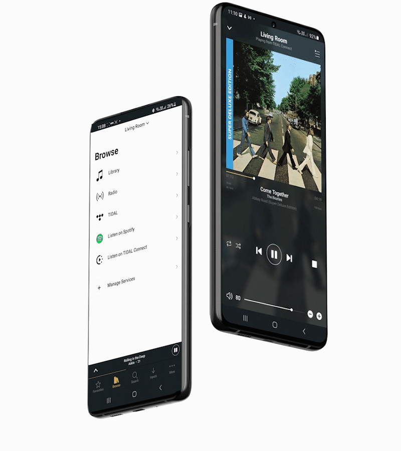 EC Software engine – ELECTROCOMPANIET.COM